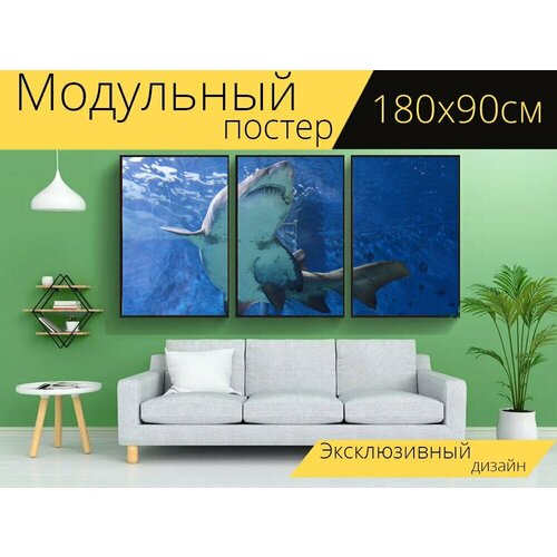 Модульный постер "Акула, море, океан" 180 x 90 см. для интерьера