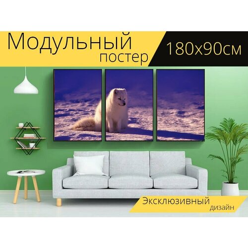 Модульный постер "Лиса, арктический, животное" 180 x 90 см. для интерьера
