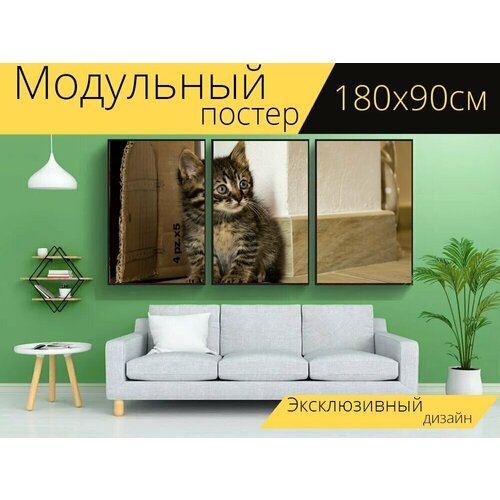 Модульный постер "Кошка, котенок, кот" 180 x 90 см. для интерьера