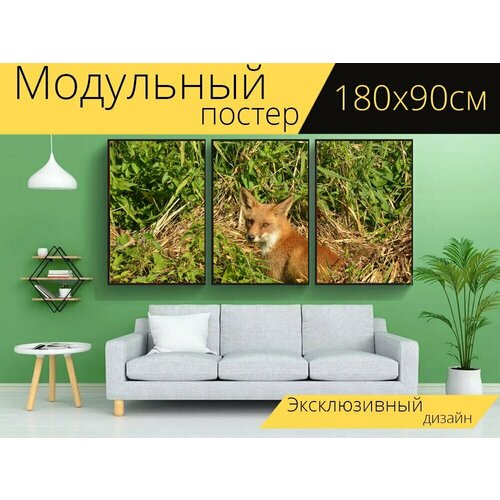 Модульный постер "Лиса, хищник, млекопитающее" 180 x 90 см. для интерьера