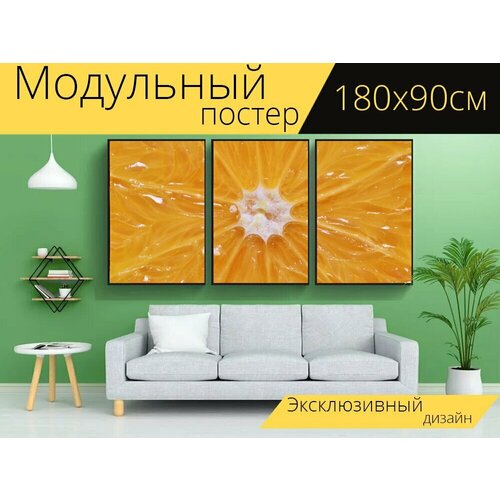 Модульный постер "Апельсин, оранжевый, цитрусовый фрукт" 180 x 90 см. для интерьера