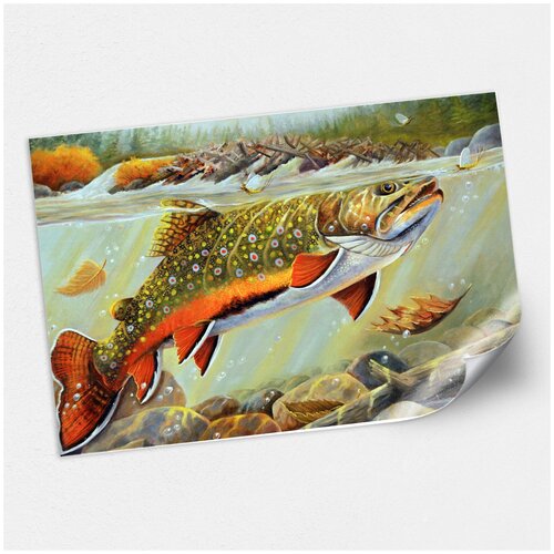 Интерьерный плакат с рыбой / Постер для оформления рыболовного магазина / А-2 (60x42 см.)
