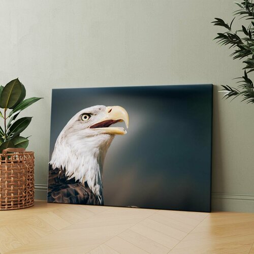 Картина на холсте (Белоголовый орлан с желтым клювом) 30x40 см. Интерьерная, на стену.