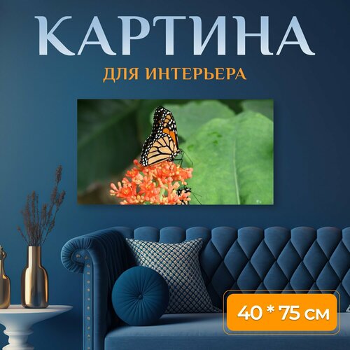 Картина на холсте "Бабочка, природа, насекомое" на подрамнике 75х40 см. для интерьера