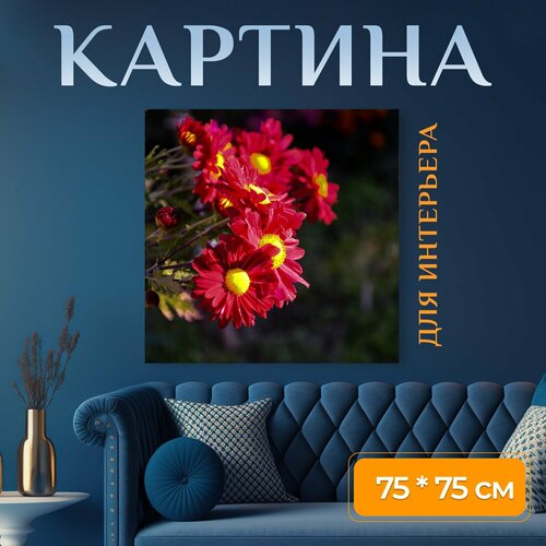 Картина на холсте "Цветы, хризантемы, лепестки" на подрамнике 75х75 см. для интерьера
