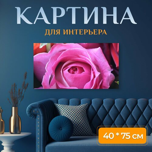 Картина на холсте "Розовый куст, цветок, лепесток" на подрамнике 75х40 см. для интерьера
