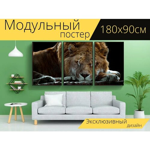 Модульный постер "Лев, млекопитающее, хищник" 180 x 90 см. для интерьера