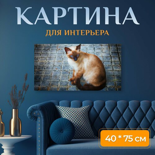 Картина на холсте "Сиамская кошка, кошка, домашний питомец" на подрамнике 75х40 см. для интерьера