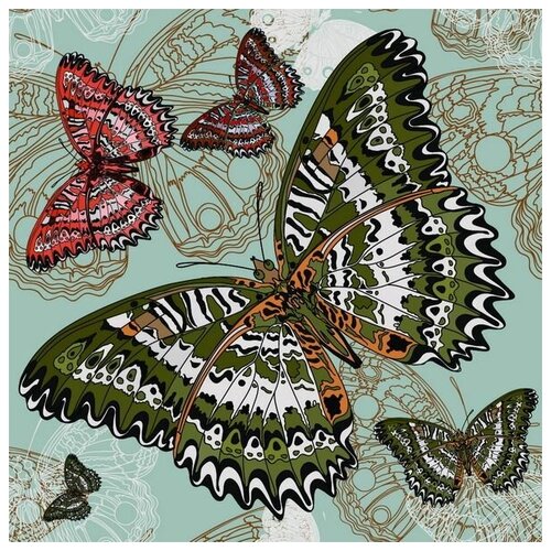 Постер на холсте Бабочки (Butterflies) №5 60см. x 60см.