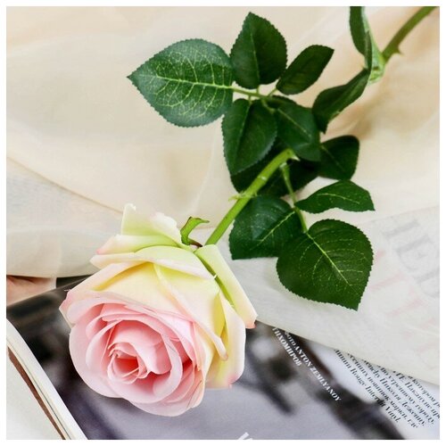Poetry in flowers Цветы искусственные "Роза экспрессия" 9,5х66 см, розовый