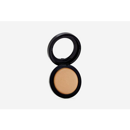 Пудра MAC MINERALIZE SKINFINISH NATURAL цвет: Give Me Sun! / 10 г