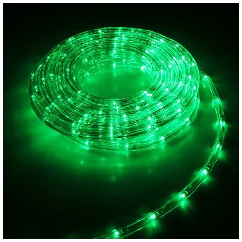 Luazon Lighting LED шнур 10 мм, круглый, 5 м, чейзинг, 2W-LED/м-24-220V, с контр. 8р, зеленый