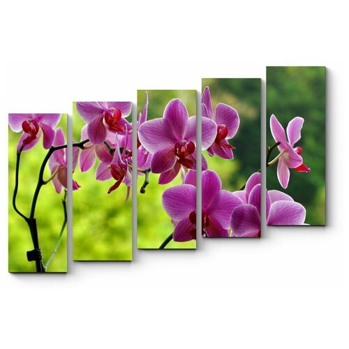 Модульная картина Неподражаемые орхидеи 140x98
