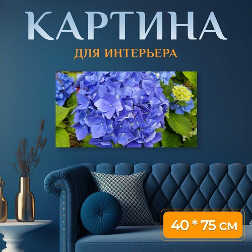 Картина на холсте "Гортензия, цветы, лепестки" на подрамнике 75х40 см. для интерьера