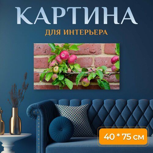 Картина на холсте "Яблоко, шпалерный фрукт, фрукты" на подрамнике 75х40 см. для интерьера