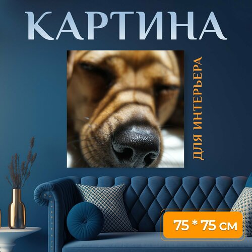 Картина на холсте "Собака, такса, милый" на подрамнике 75х75 см. для интерьера