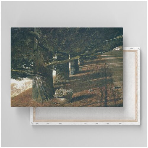 Картина на холсте с подрамником / Wyeth Andrew - Pine Baron / Уайет Эндрю