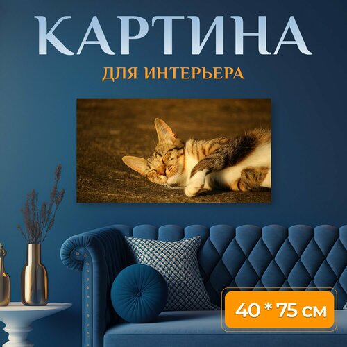 Картина на холсте "Кот, котенок, скумбрия" на подрамнике 75х40 см. для интерьера