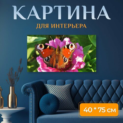 Картина на холсте "Бабочка, павлинья бабочка, природа" на подрамнике 75х40 см. для интерьера