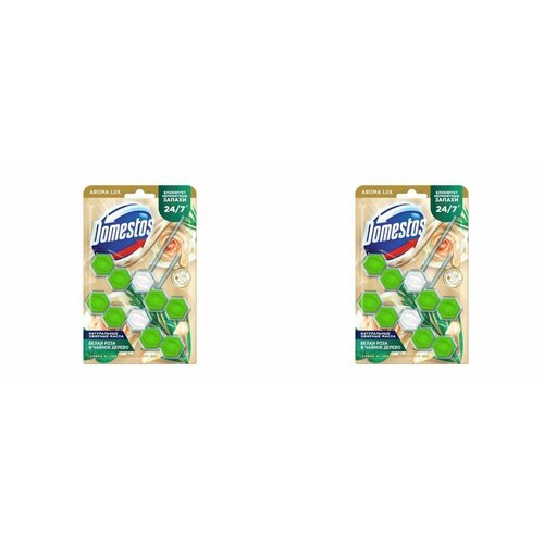 Domestos Блок для очищения унитаза Свежесть Зеленого чая, 2 х 50гр, 2 уп