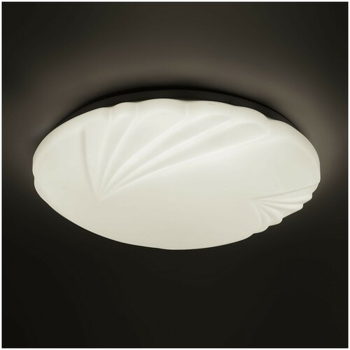 Потолочный светильник Apeyron Electrics Амелия 18-025, 18 Вт, кол-во ламп: 1 шт., 4000 К, цвет арматуры: белый, цвет плафона: белый