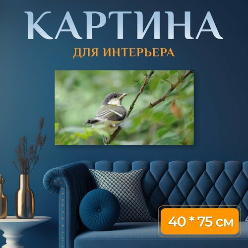 Картина на холсте "Птица, природа, милый" на подрамнике 75х40 см. для интерьера