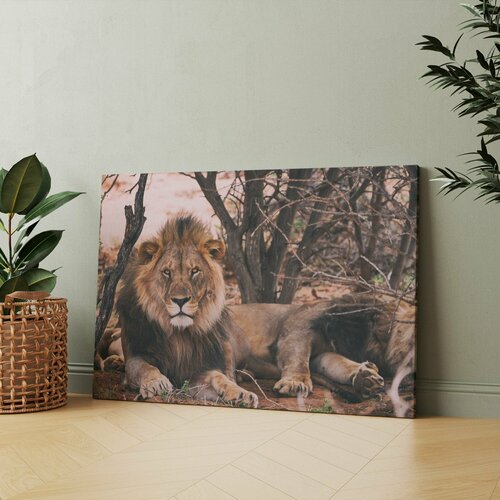 Картина на холсте (лев хищник король зверей животные дикий) 50x70 см/для интерьера/в комнату/на стену/в подарок