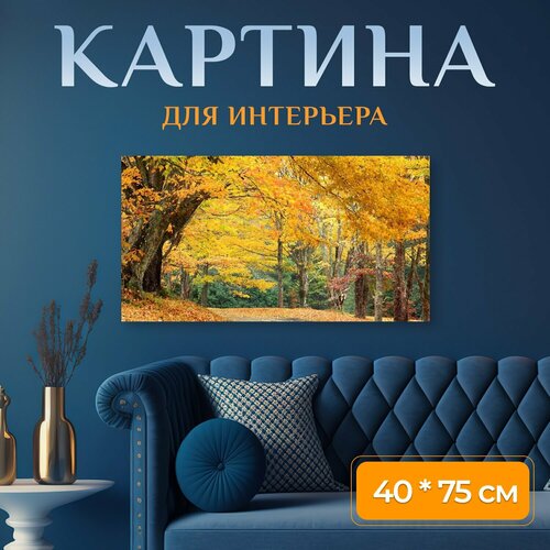 Картина на холсте "Северная каролина, осень, падение" на подрамнике 75х40 см. для интерьера