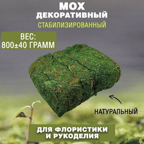 Мох декоративный, зеленый, 800 гр.