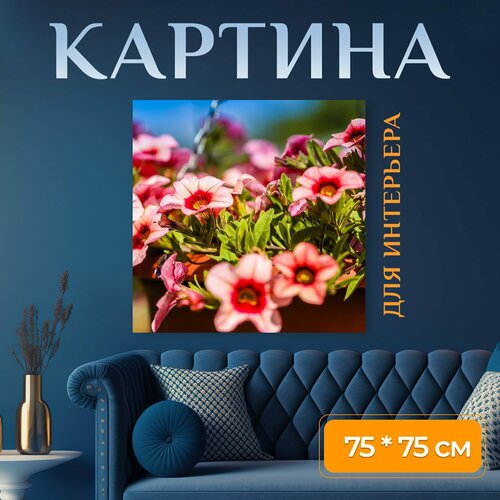 Картина на холсте "Цветок, цвести, летом" на подрамнике 75х75 см. для интерьера