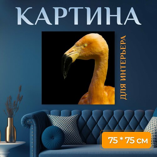 Картина на холсте "Животные, птица, фламинго" на подрамнике 75х75 см. для интерьера