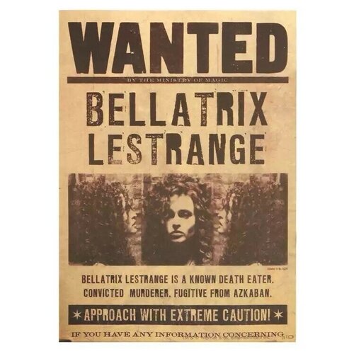 Плакат Беллатриса Лестрейндж Гарри Поттер A3