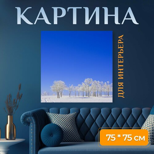 Картина на холсте "Зима, снежная сцена, деревья" на подрамнике 75х75 см. для интерьера
