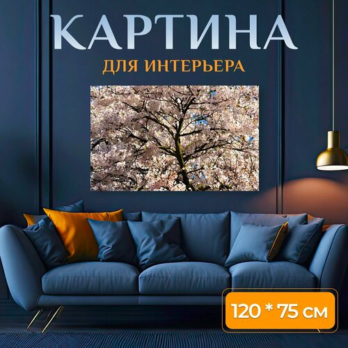 Картина на холсте "Вишни в цвету, цветок, дерево" на подрамнике 120х75 см. для интерьера