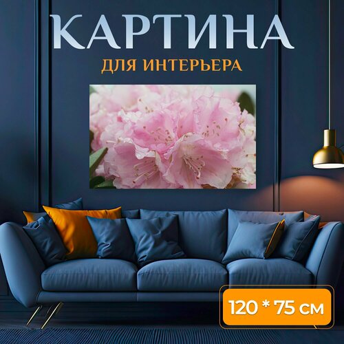 Картина на холсте "Азалия, цветы, рододендрон" на подрамнике 120х75 см. для интерьера