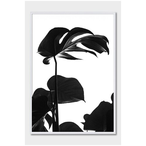 Черно-белый постер на стену для интерьера Postermarkt Листья мостеры, постер в белой рамке 40х50 см, постеры картины для интерьера в белой рамке