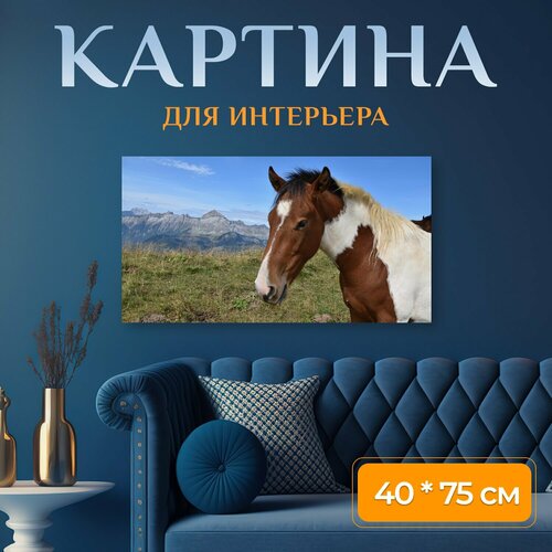 Картина на холсте "Лошадь, лошадь бай, природа" на подрамнике 75х40 см. для интерьера
