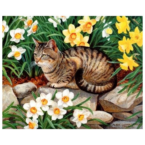 Репродукция на холсте Кошка (Cat) №2 Вейрис Персис 62см. x 50см.