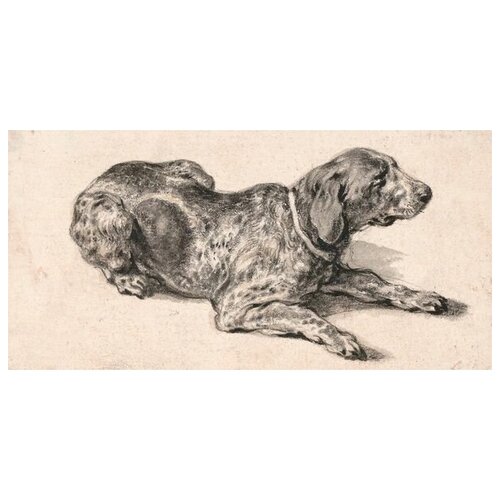 Репродукция на холсте Лежащая собака Кейп Альберт 81см. x 40см.