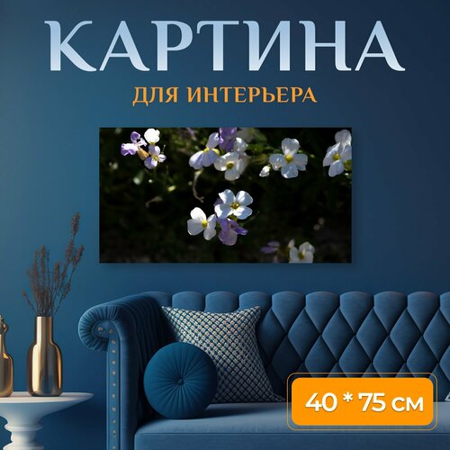 Картина на холсте "Цветок, расцветает, подушка цветок" на подрамнике 75х40 см. для интерьера