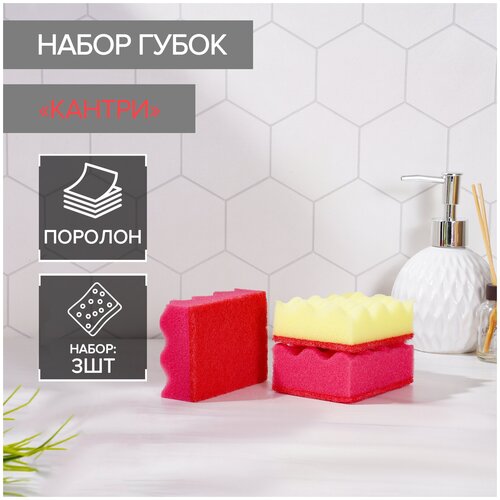 Набор губок для мытья посуды Raccoon «Кантри», 3 шт, 9,5×7×3,5 см, цвет красный, жёлтый