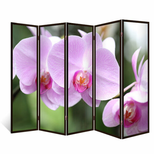 Ширма перегородка Орхидея 5 створок венге 176х230 см