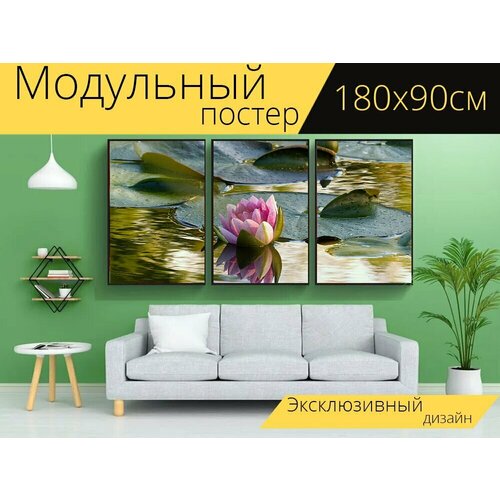 Модульный постер "Завод, водяная лилия, нимфея" 180 x 90 см. для интерьера