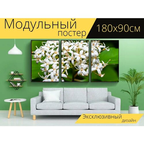 Модульный постер "Белый, цветок, природа" 180 x 90 см. для интерьера
