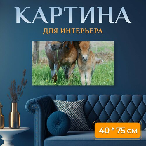 Картина на холсте "Лошади, жеребенок, животное" на подрамнике 75х40 см. для интерьера
