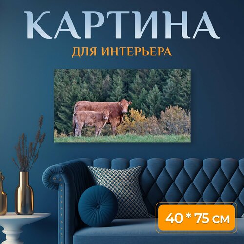 Картина на холсте "Корова, телец, пейзаж" на подрамнике 75х40 см. для интерьера