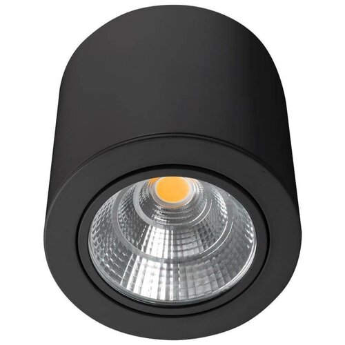 Накладной светильник LED SP-FOCUS-R140-30W Day4000 (BK, 24 deg, 230V) (Arlight, IP20 Металл, 3 года) 029537