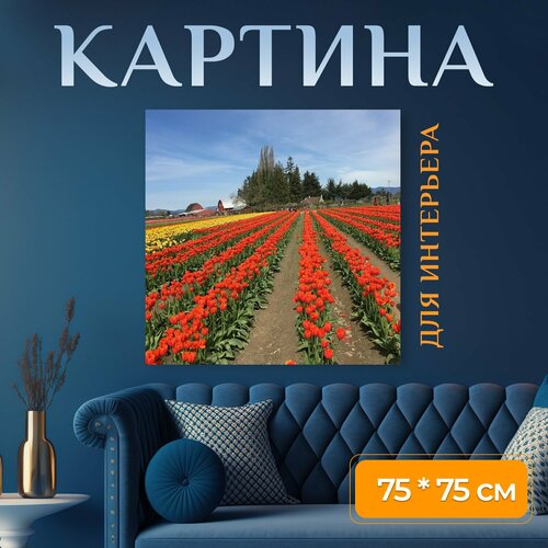 Картина на холсте "Красный, желтый, тюльпаны" на подрамнике 75х75 см. для интерьера