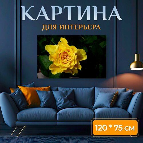 Картина на холсте "Роза, желтый, желтая роза" на подрамнике 120х75 см. для интерьера