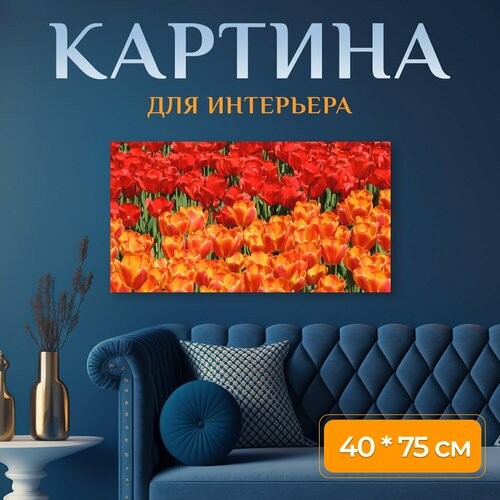 Картина на холсте "Оранжевые цветы, тюльпаны, красные цветки" на подрамнике 75х40 см. для интерьера